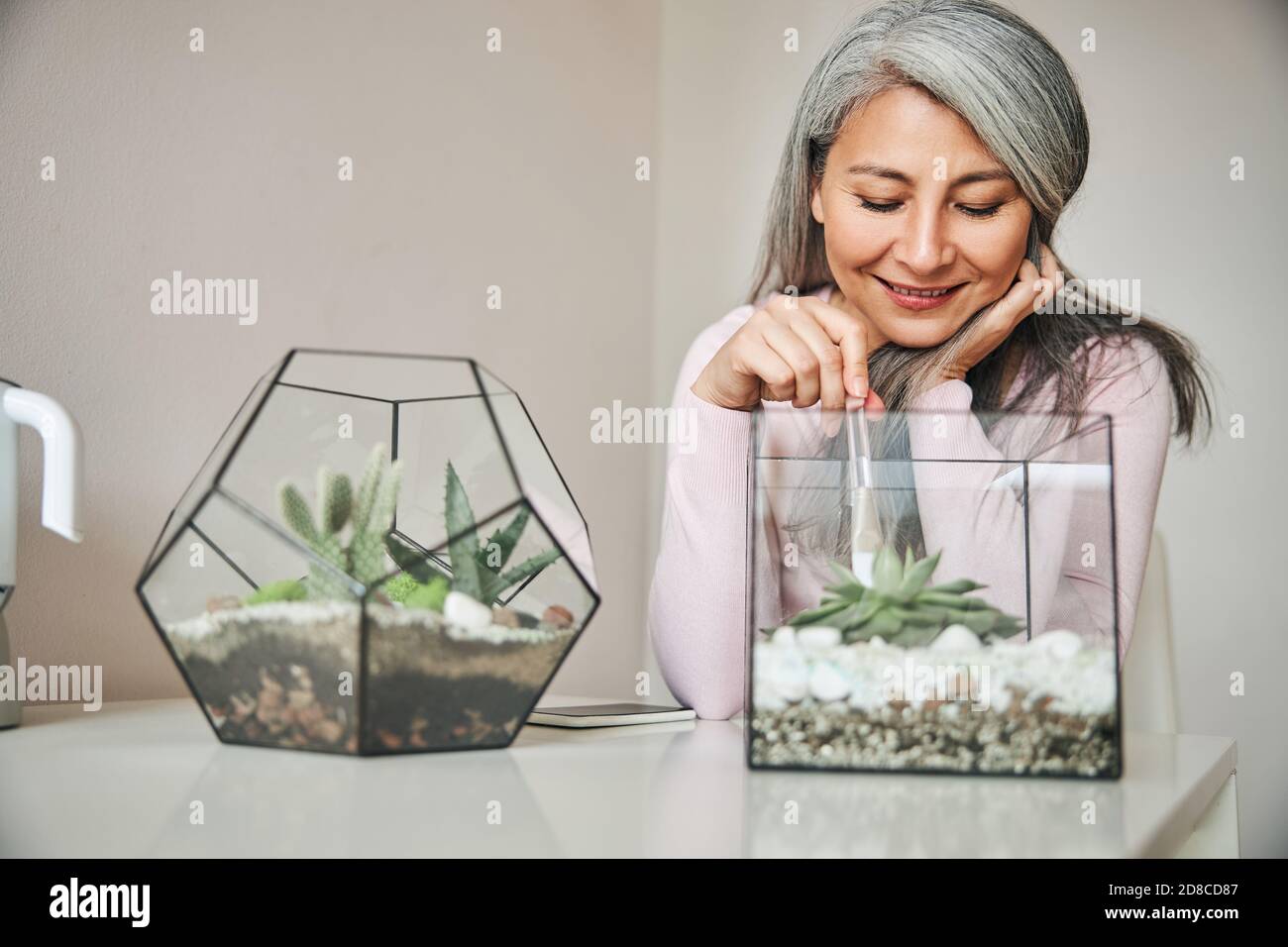 Female florist cleaning plant leaves hi-res stock photography and ...