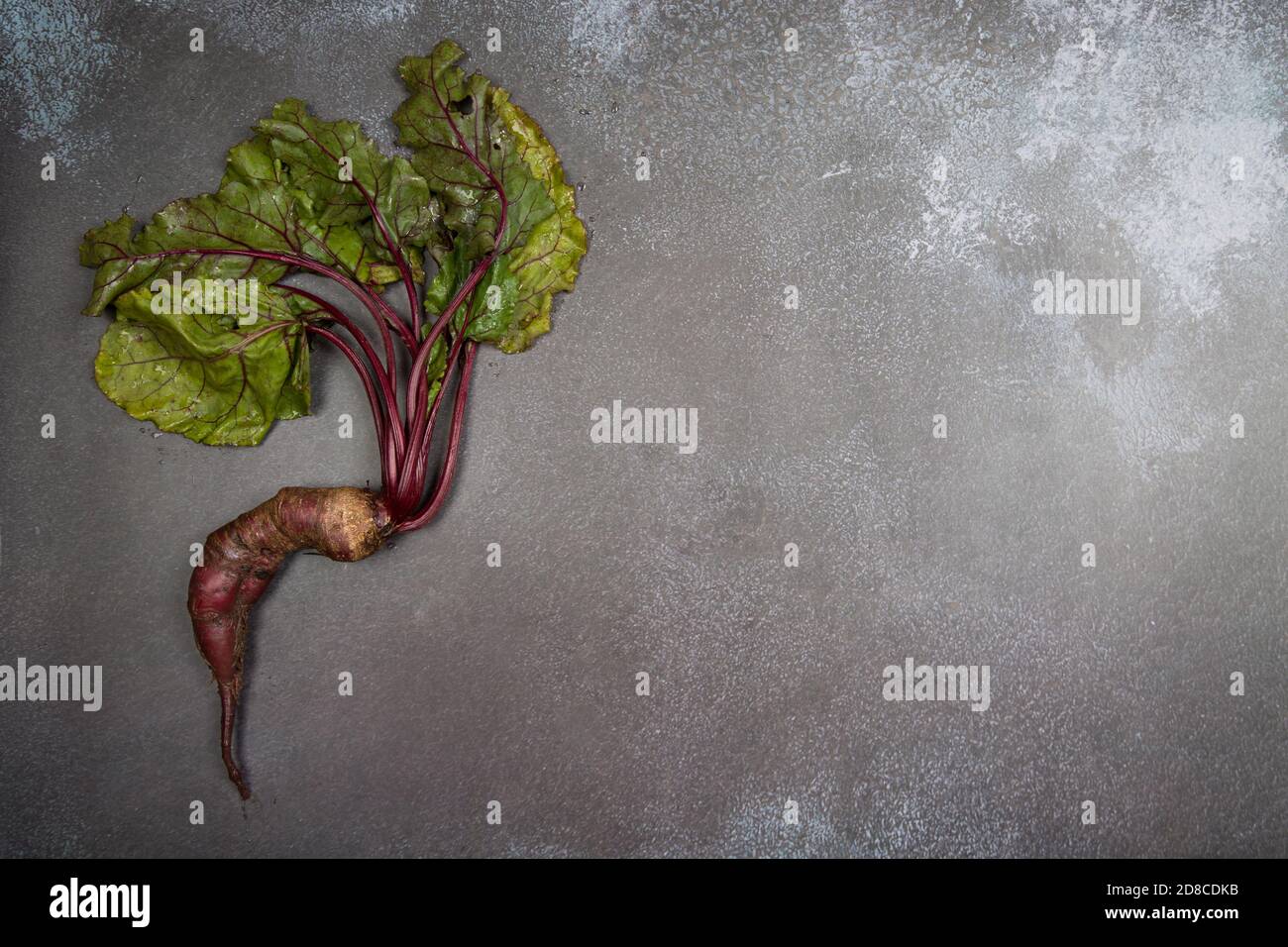 Deformed ugly carrot root crop with a bizarre shape with various ...