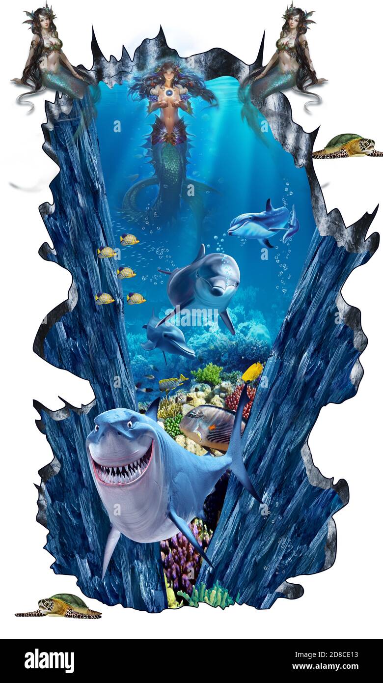 House bird wallpaper Cut Out Stock Images & Pictures - Alamy