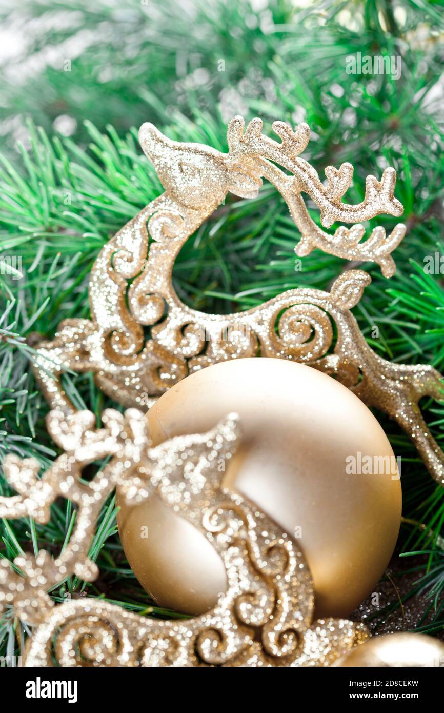 Christmas decorations and evergreen fir tree branch closeup on gold ...