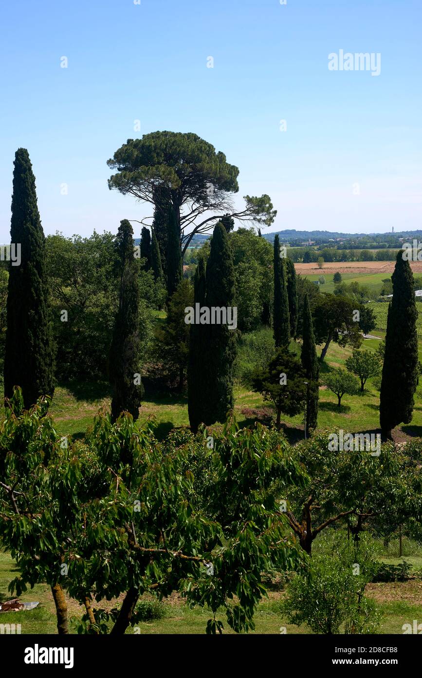 Castegnero (Vi), Italy, a view of the Berici Hills Stock Photo - Alamy