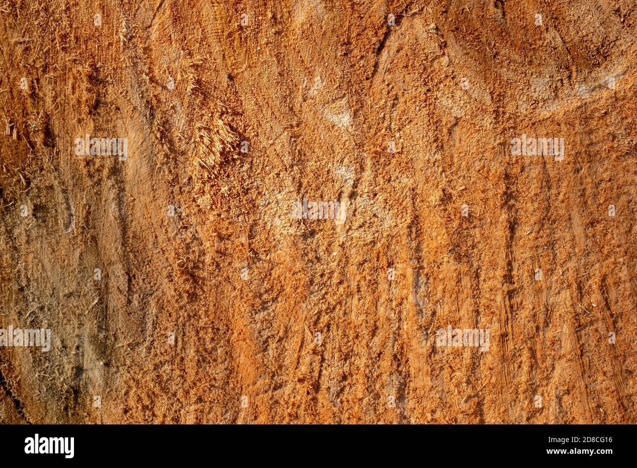 Abstract background rough unpolished rough texture of saw cut wood ...