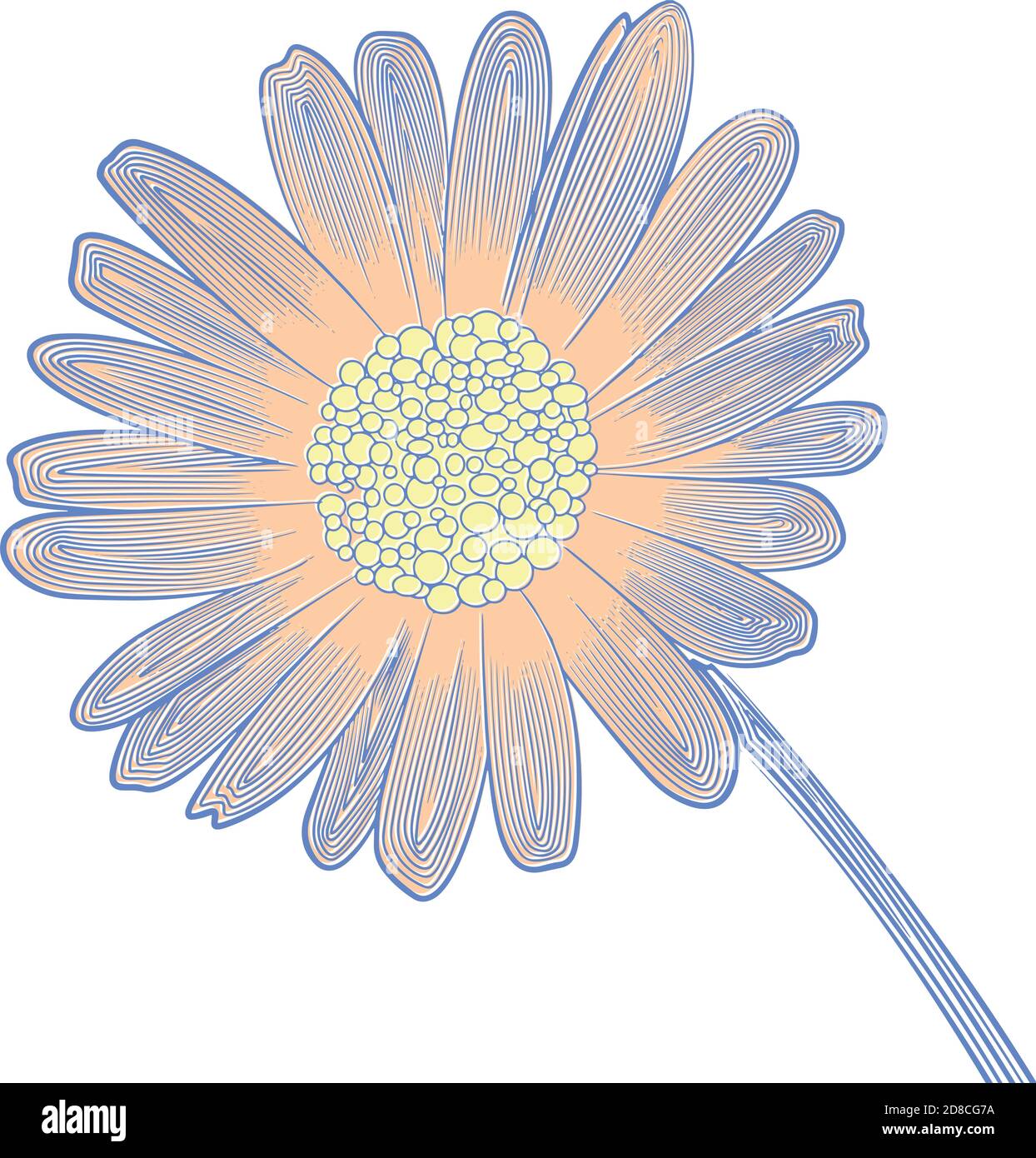 delicate vector linear pattern of daisy flower Stock Vector Image & Art ...