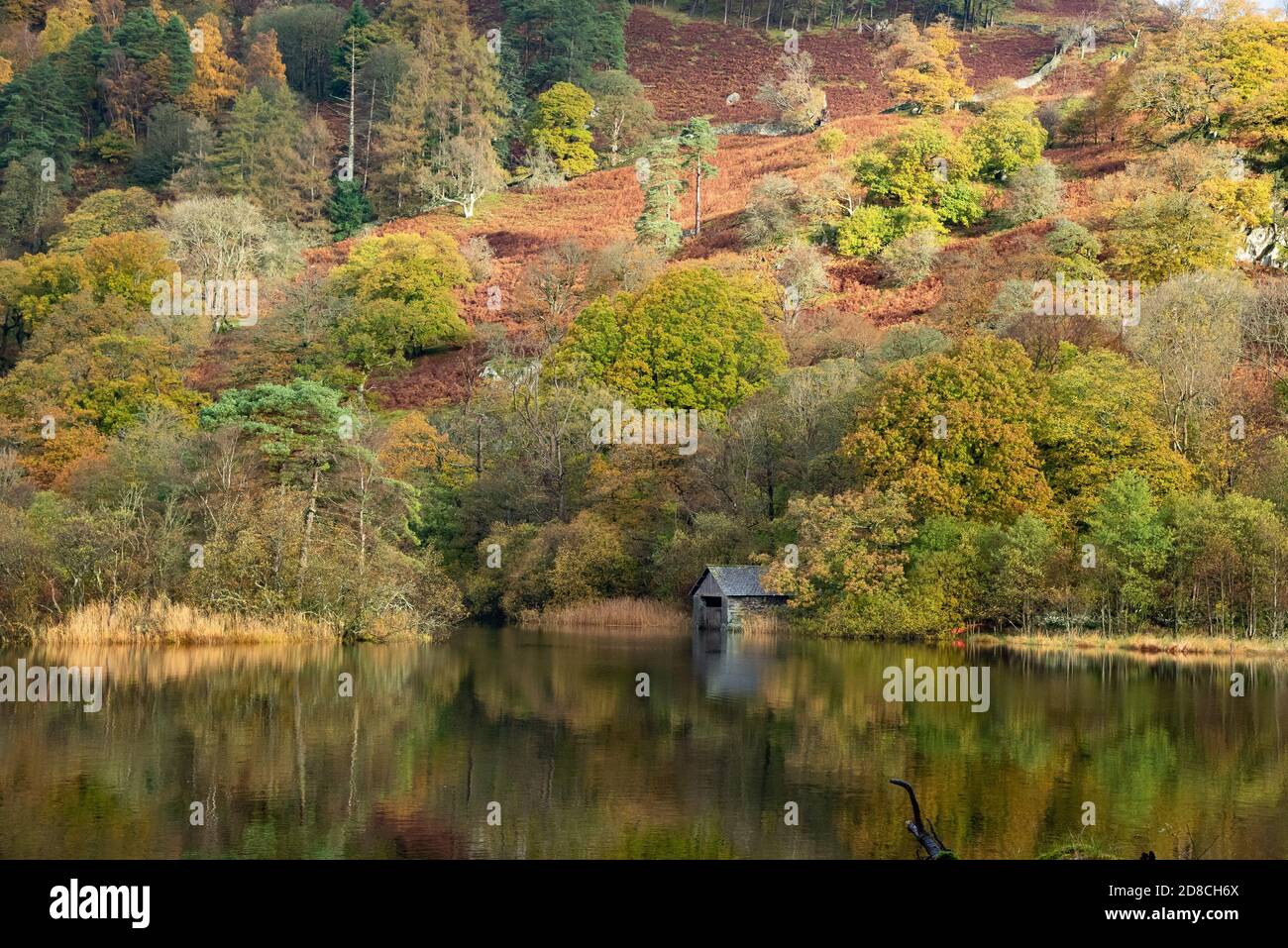 Autumn rydal water lake district hi-res stock photography and images ...