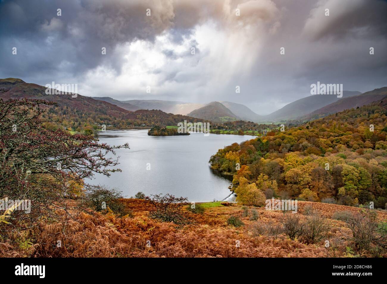 Autumn trees uk hi-res stock photography and images - Alamy