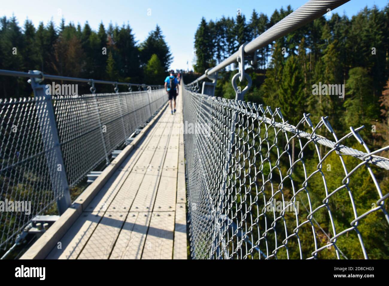 Geierlay - Suspension Bridge in western Germany Stock Photo - Alamy