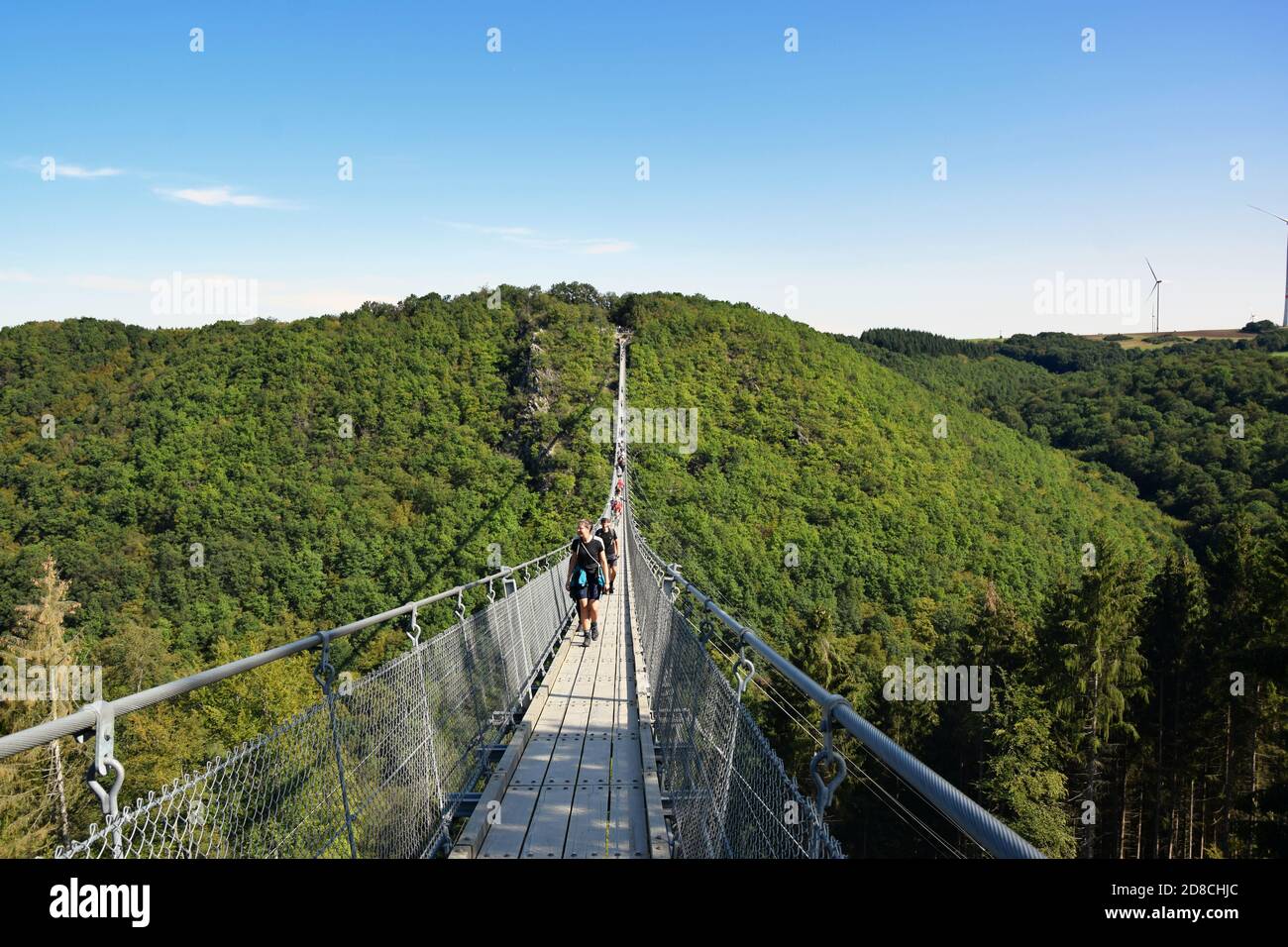 Geierlay - Suspension Bridge in western Germany Stock Photo - Alamy