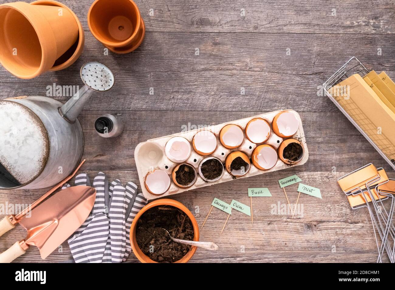 Flat lay. Plantings seeds in eggshells and labeling them with small ...
