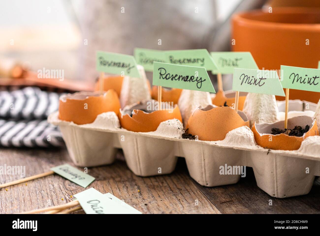 Planting seeds labeling hi-res stock photography and images - Alamy