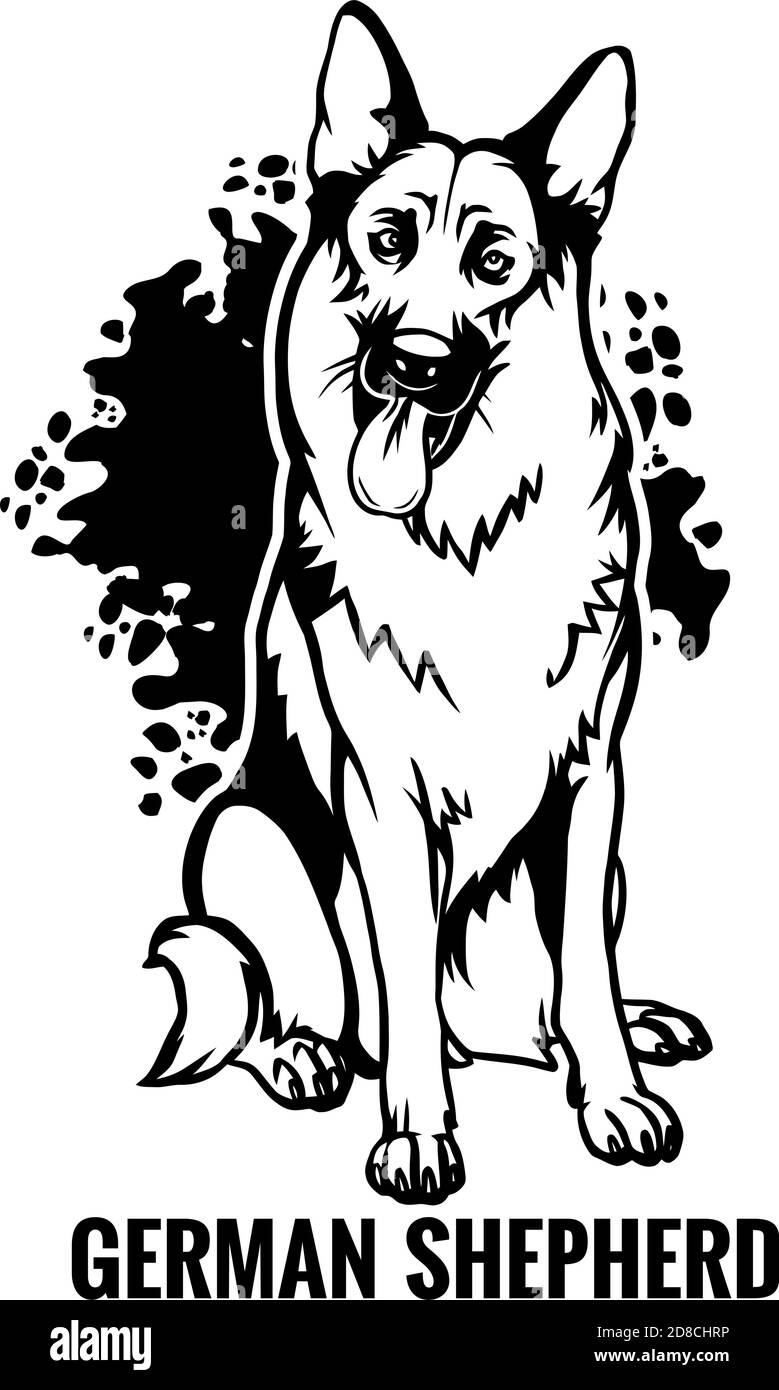 How To Draw A German Shepherd Sitting Down