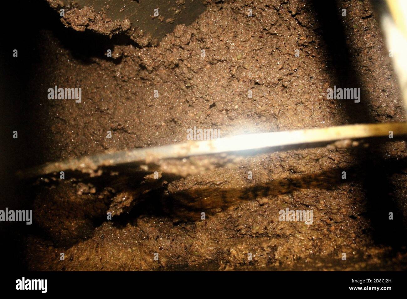 Greece, Attica, olive paste in malaxation tank during extra virgin ...