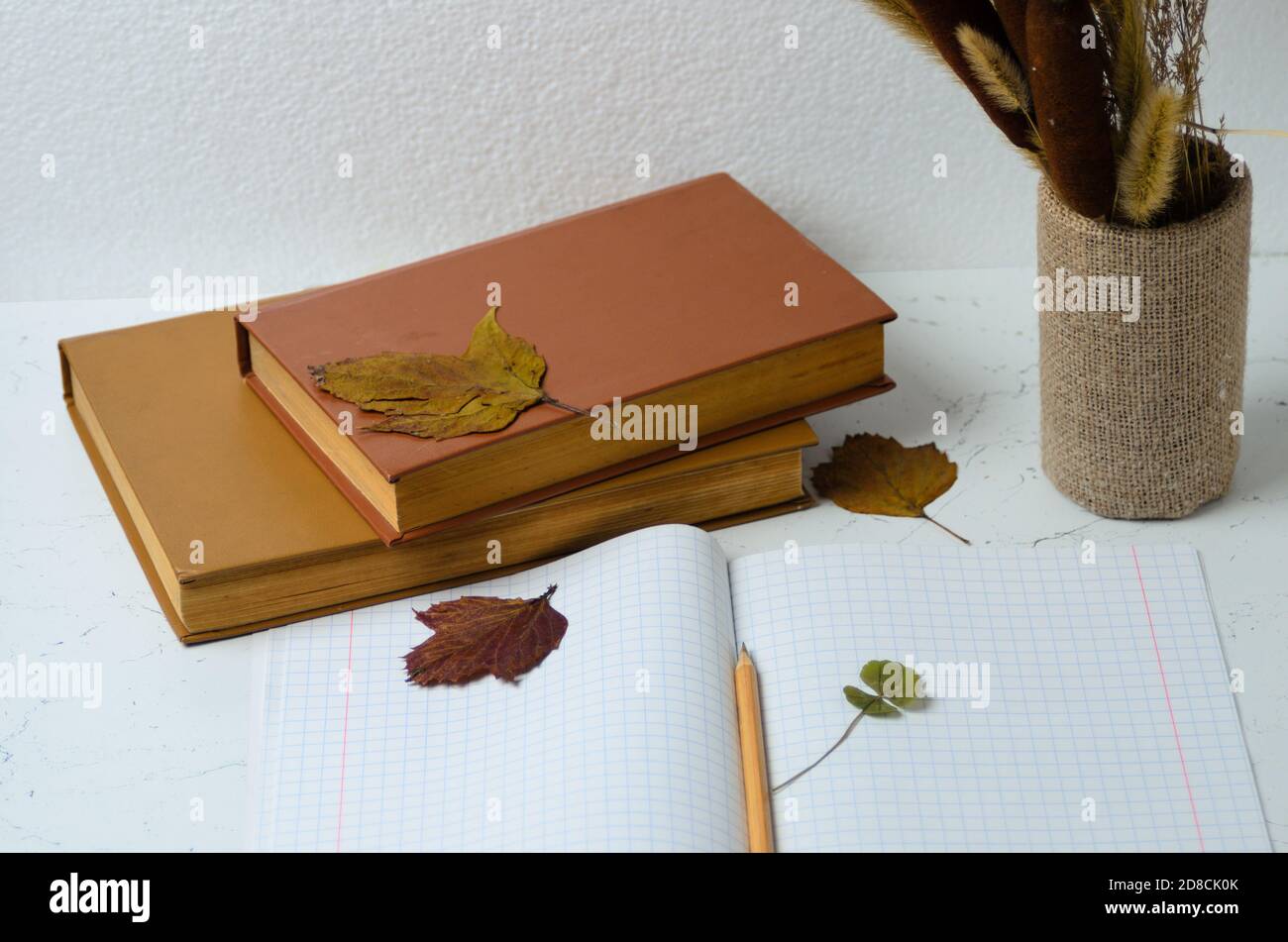 Selective focus of a clover hi-res stock photography and images - Alamy