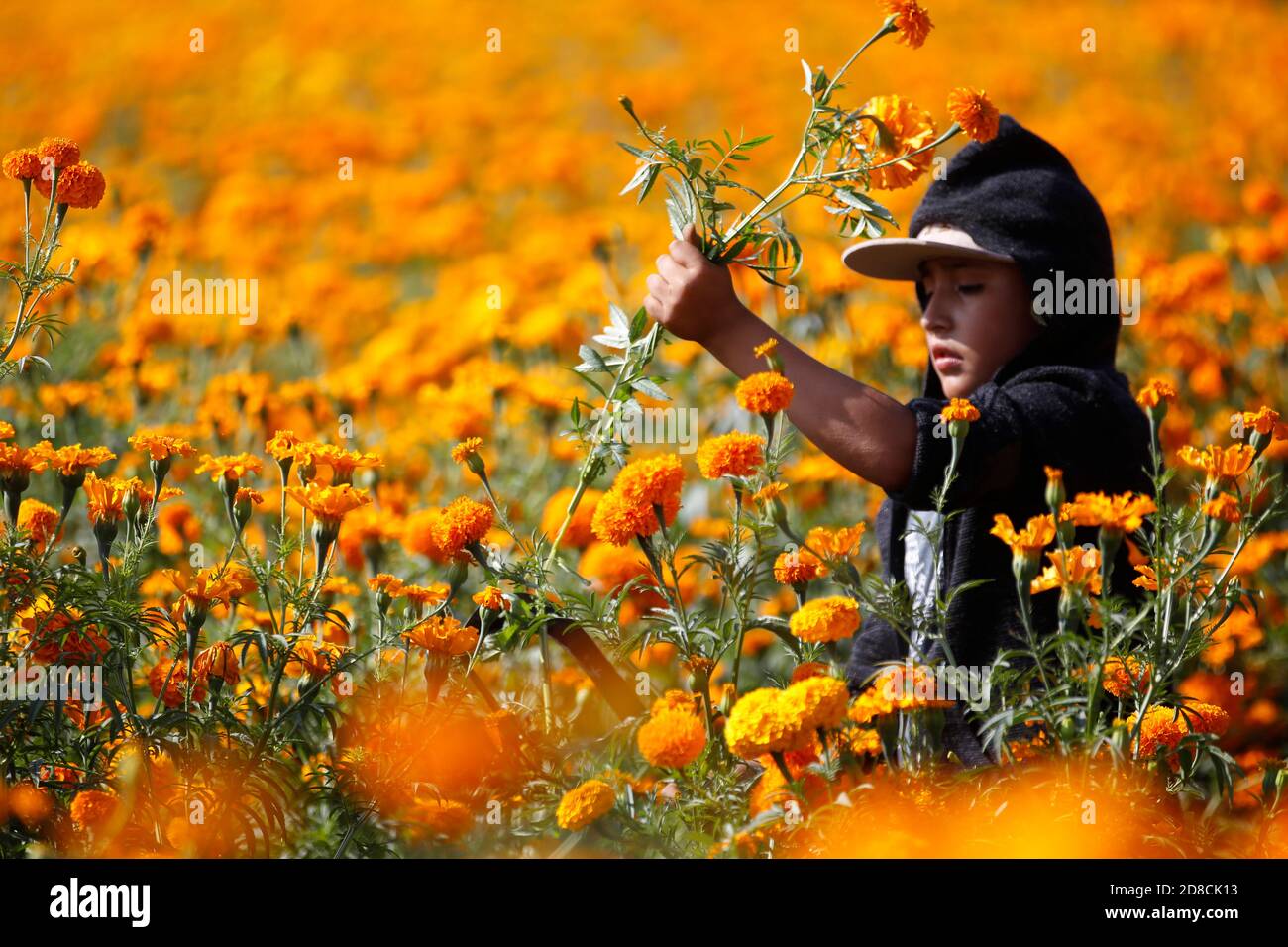 Copandaro hi-res stock photography and images - Alamy