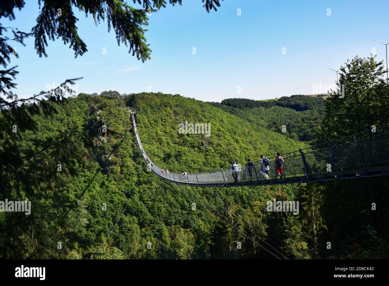 Geierlay - Suspension Bridge in western Germany Stock Photo - Alamy