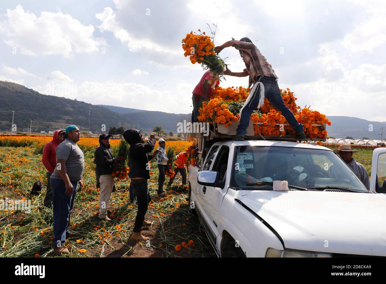 Copandaro, Mexico. 28th Oct, 2020. COPANDARO, MEXICO - OCTOBER 28 ...