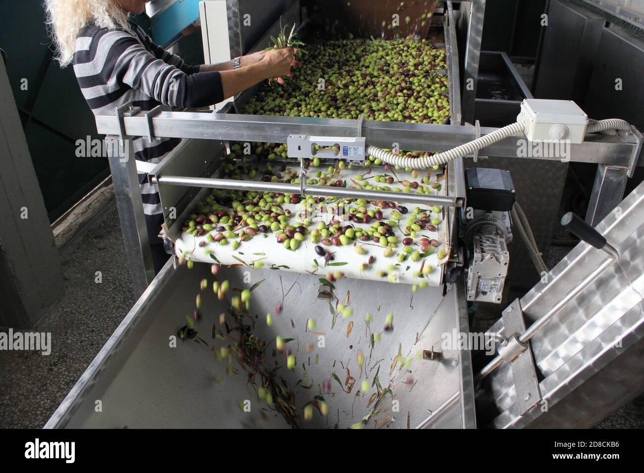 Removal of olive leaves in olive oil mill during extra virgin olive oil ...