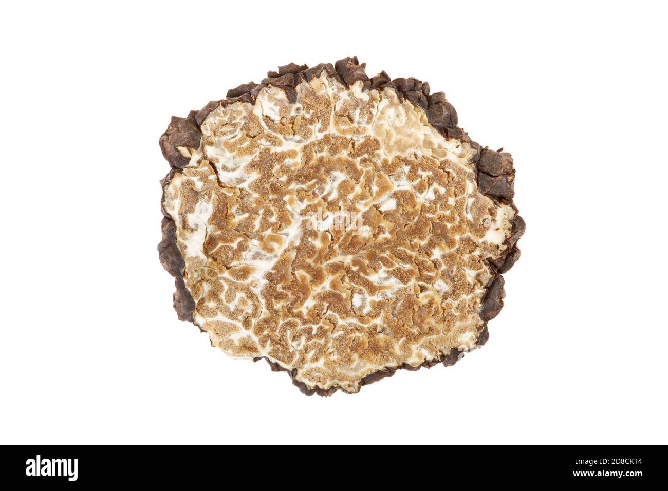 Black truffles slice isolated on white, clipping path included Stock ...