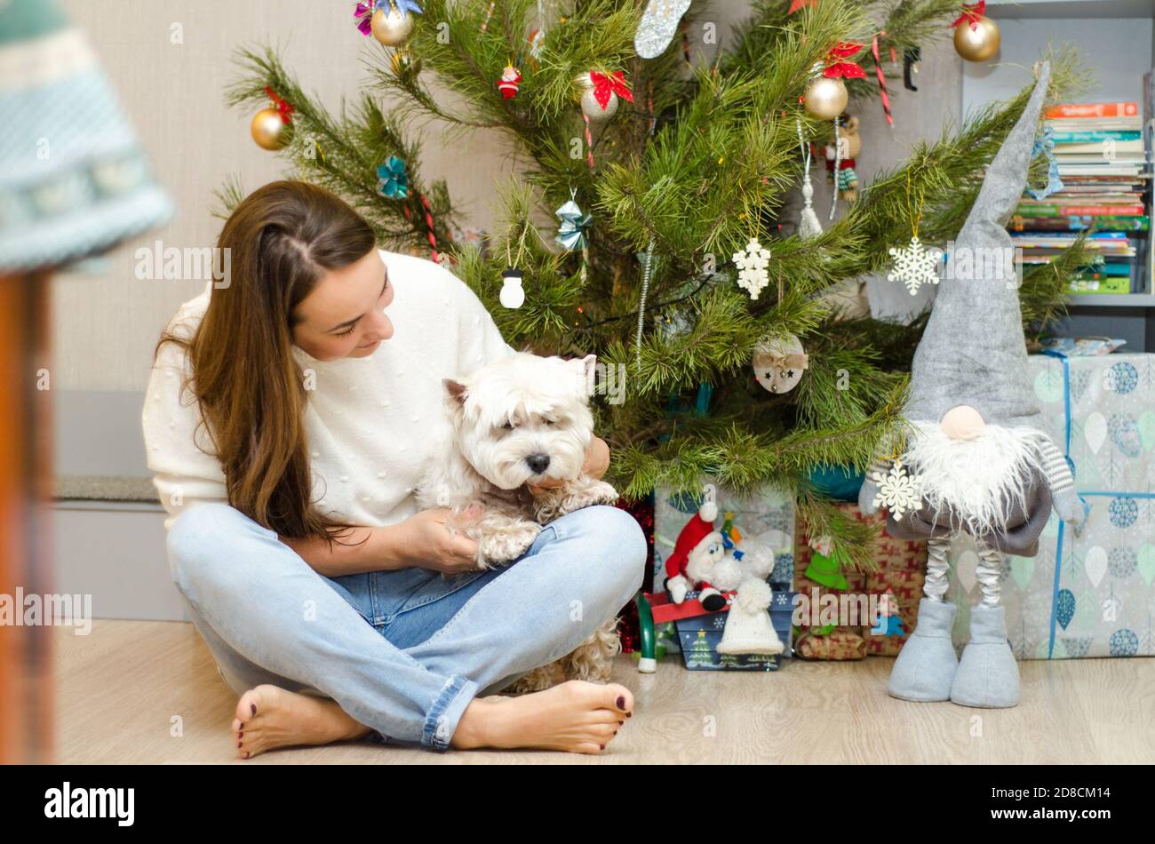 beautiful woman and dog sitting near christmas tree Stock Photo - Alamy