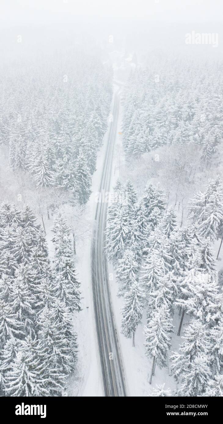 Road through Snow Covered White Forest in Deep Winter Storm Stock Photo ...