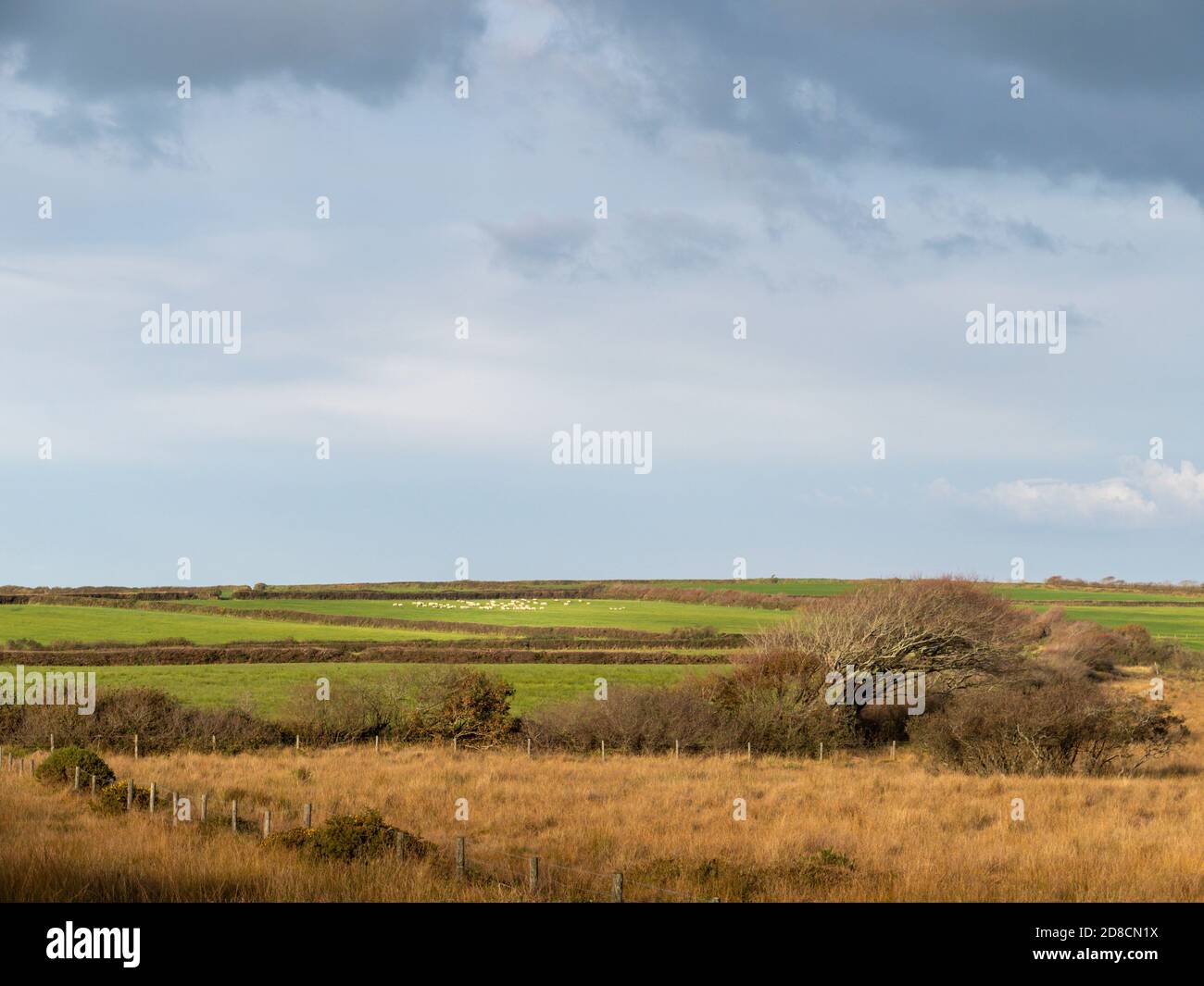 October view over Bursdon Moor, Hartland, North Devon, England, UK ...