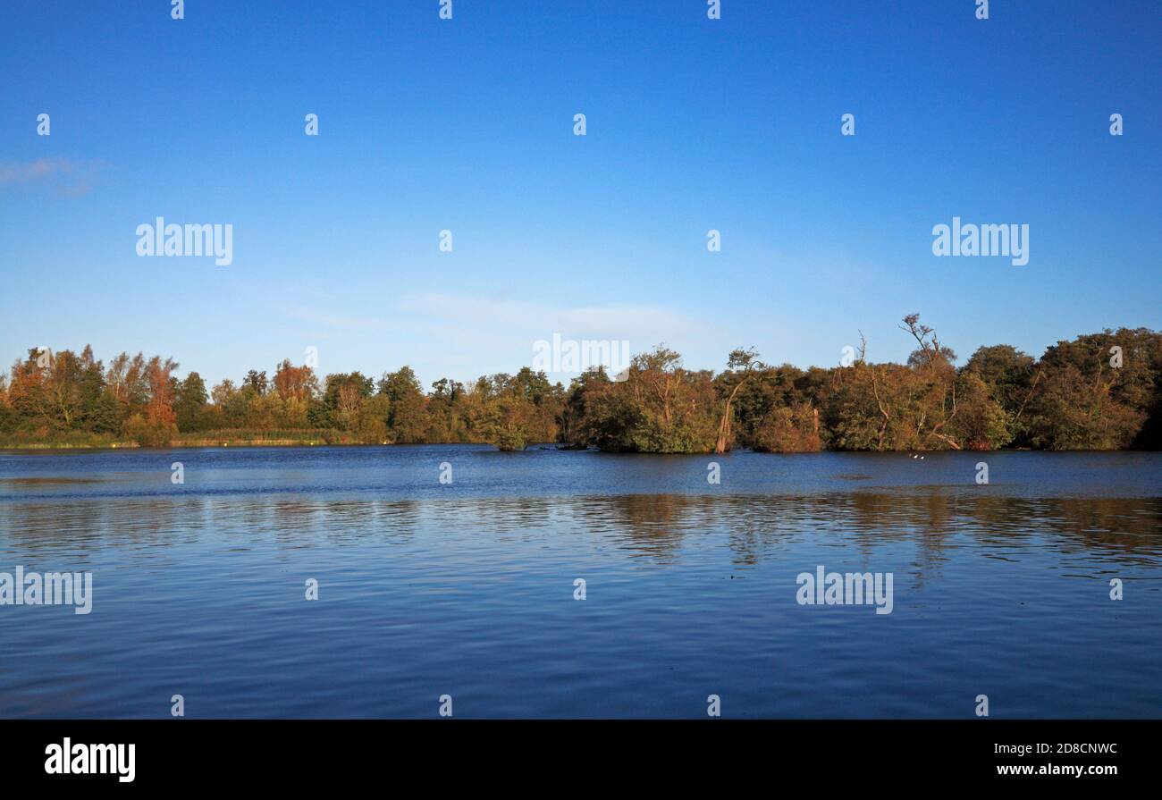 A view of Salhouse Broad from the south bank in autumn on the Norfolk ...