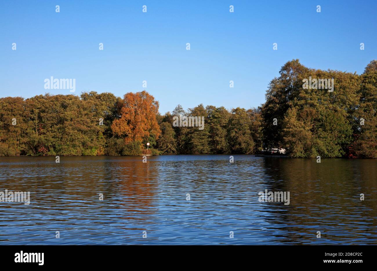 An access point from Salhouse Broad to the River Bure in autumn on the ...