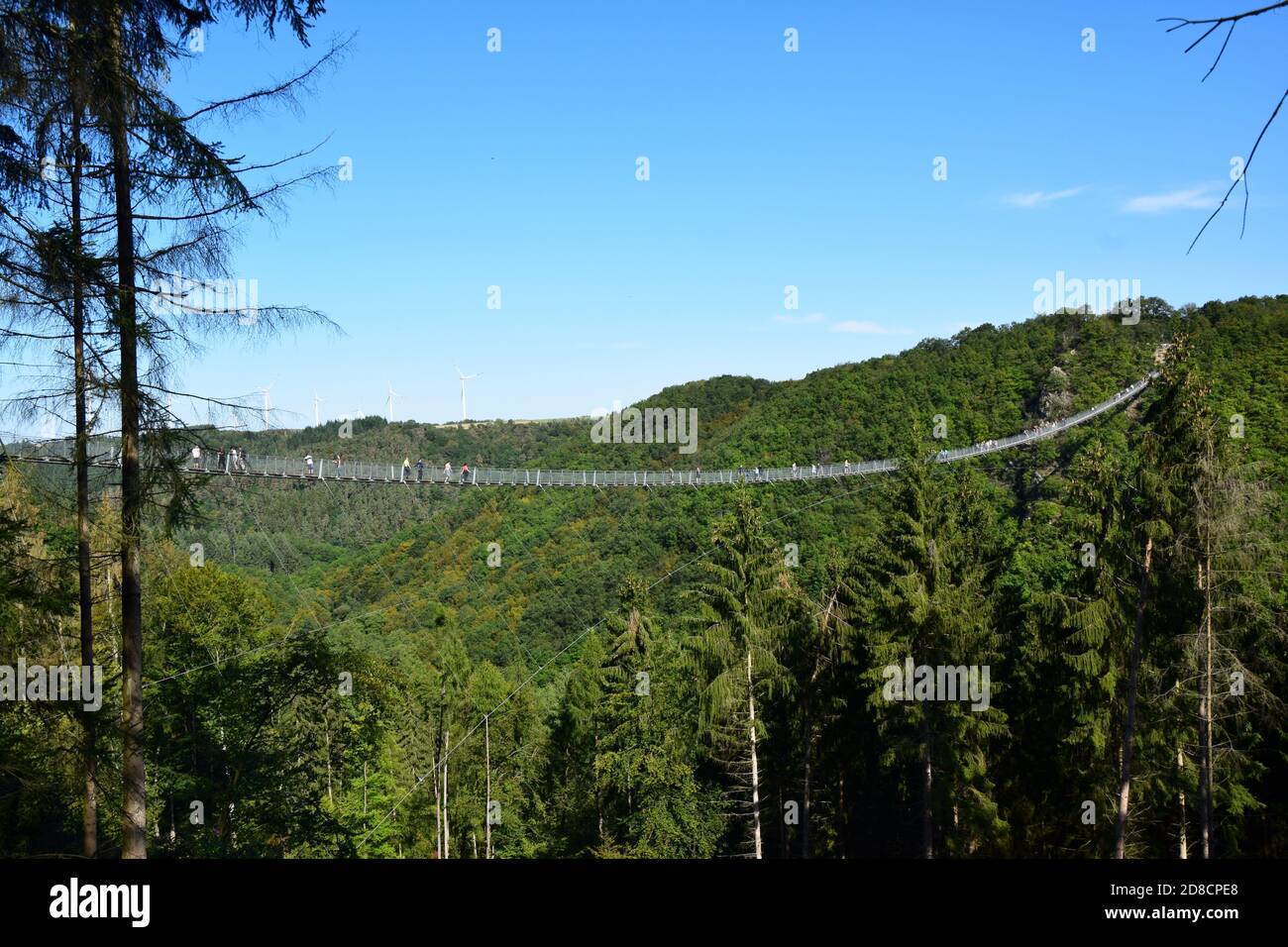 Geierlay - Suspension Bridge in western Germany Stock Photo - Alamy