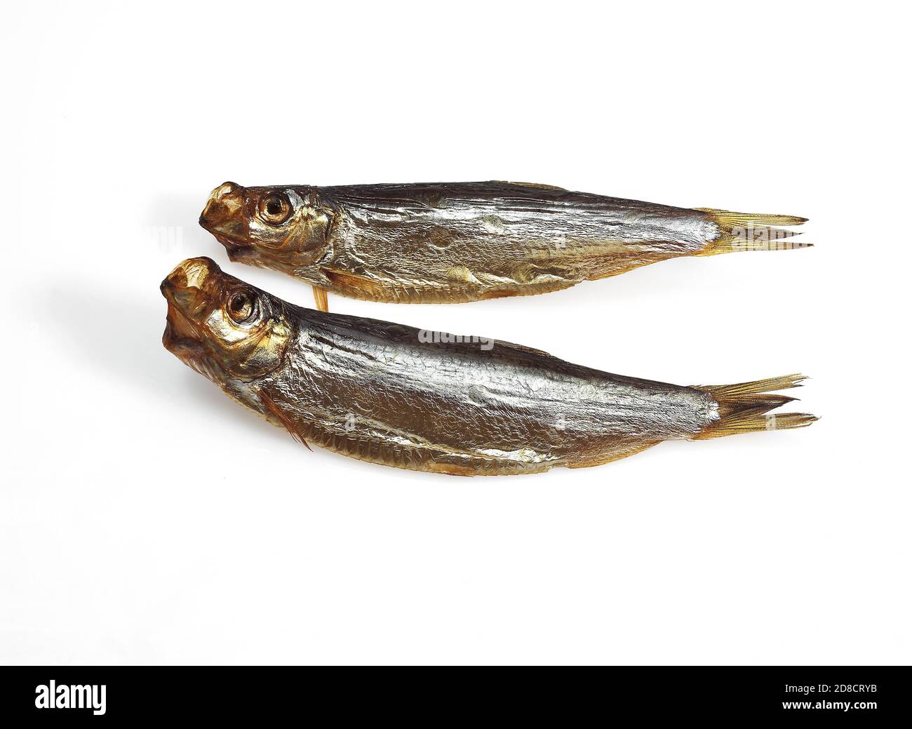 SPRAT sprattus sprattus, SMOKED FISH AGAINST WHITE BACKGROUND Stock ...