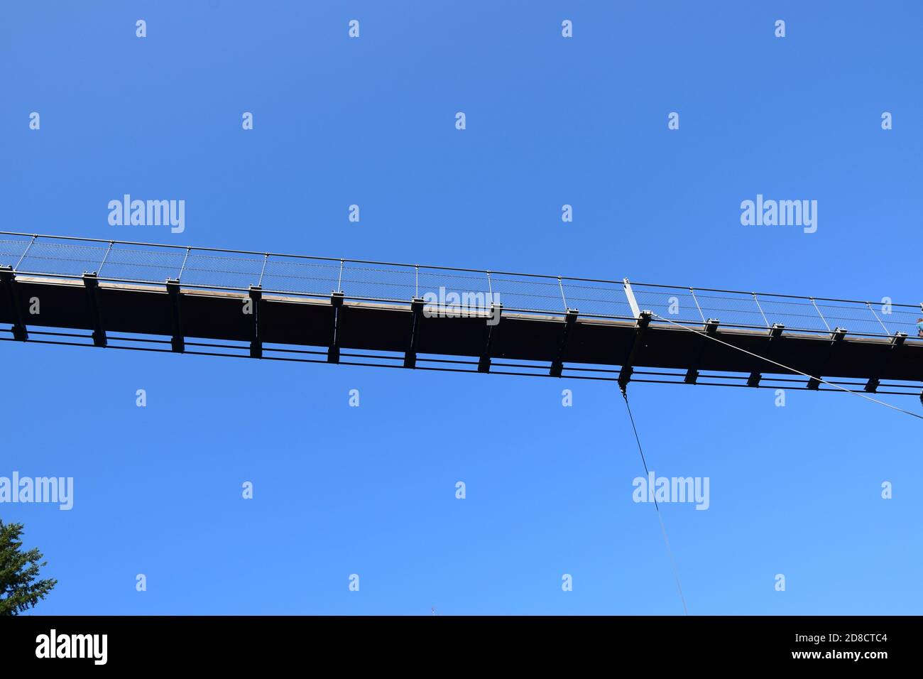 Geierlay - Suspension Bridge in western Germany Stock Photo - Alamy