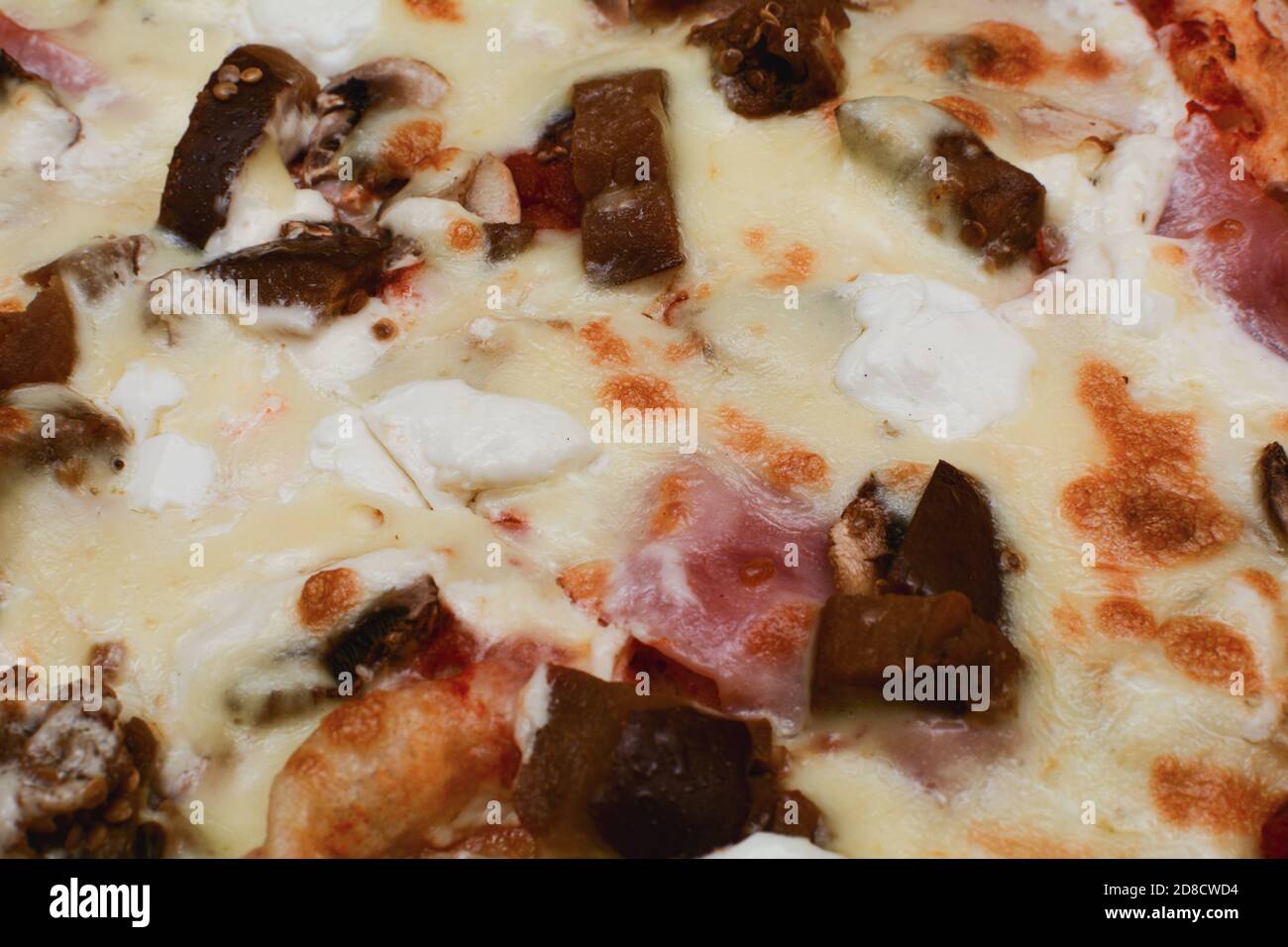 Pizza. Capricciosa pizza (Ham, eggplant with garlic, sheep cheese ...