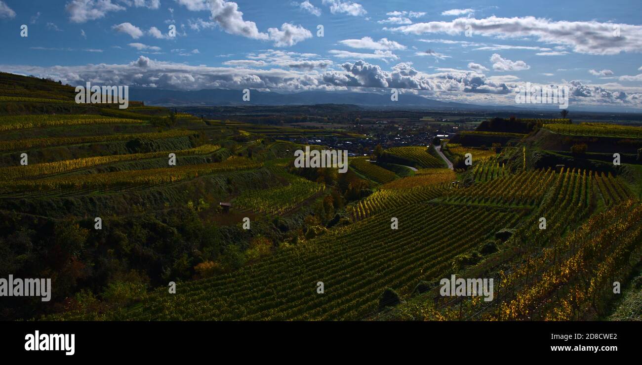 Parallel terraced rows hi-res stock photography and images - Alamy