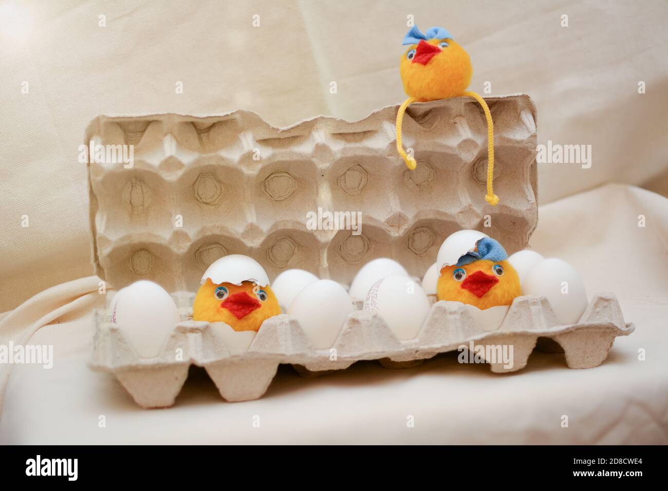Chicken chick hatching from egg hi-res stock photography and images - Alamy