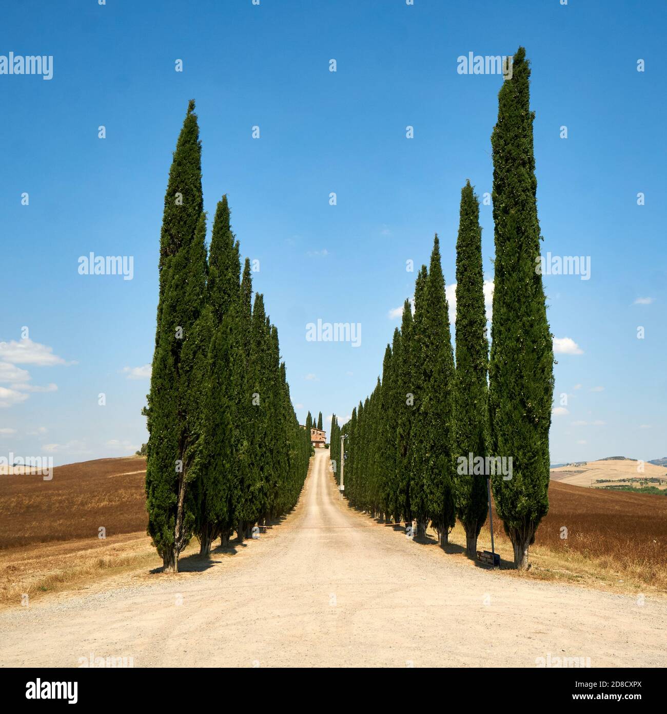 Toscana hi-res stock photography and images - Alamy
