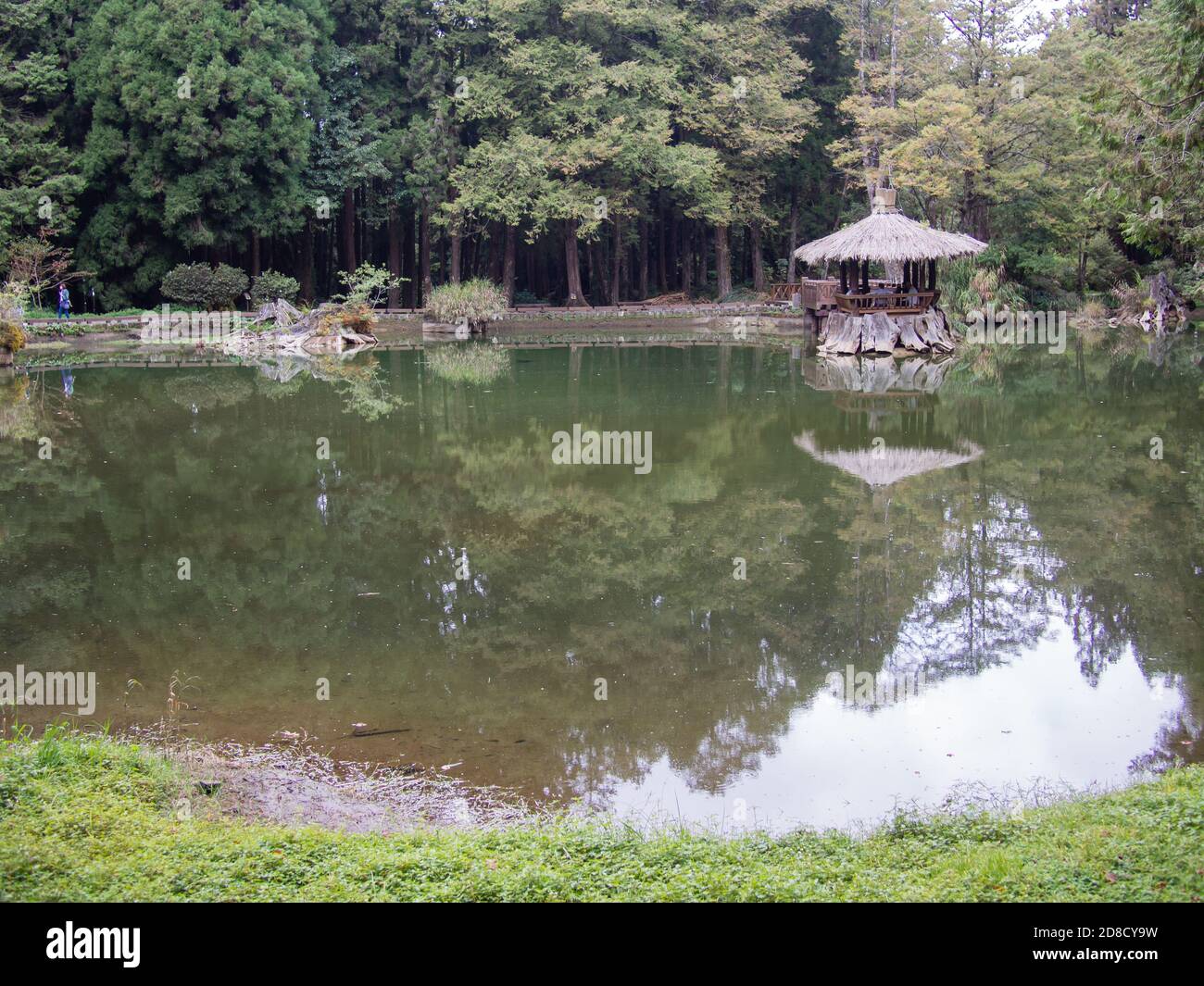 The Elder Sister Pond of the Sisters Pond in Alishan National Forest ...