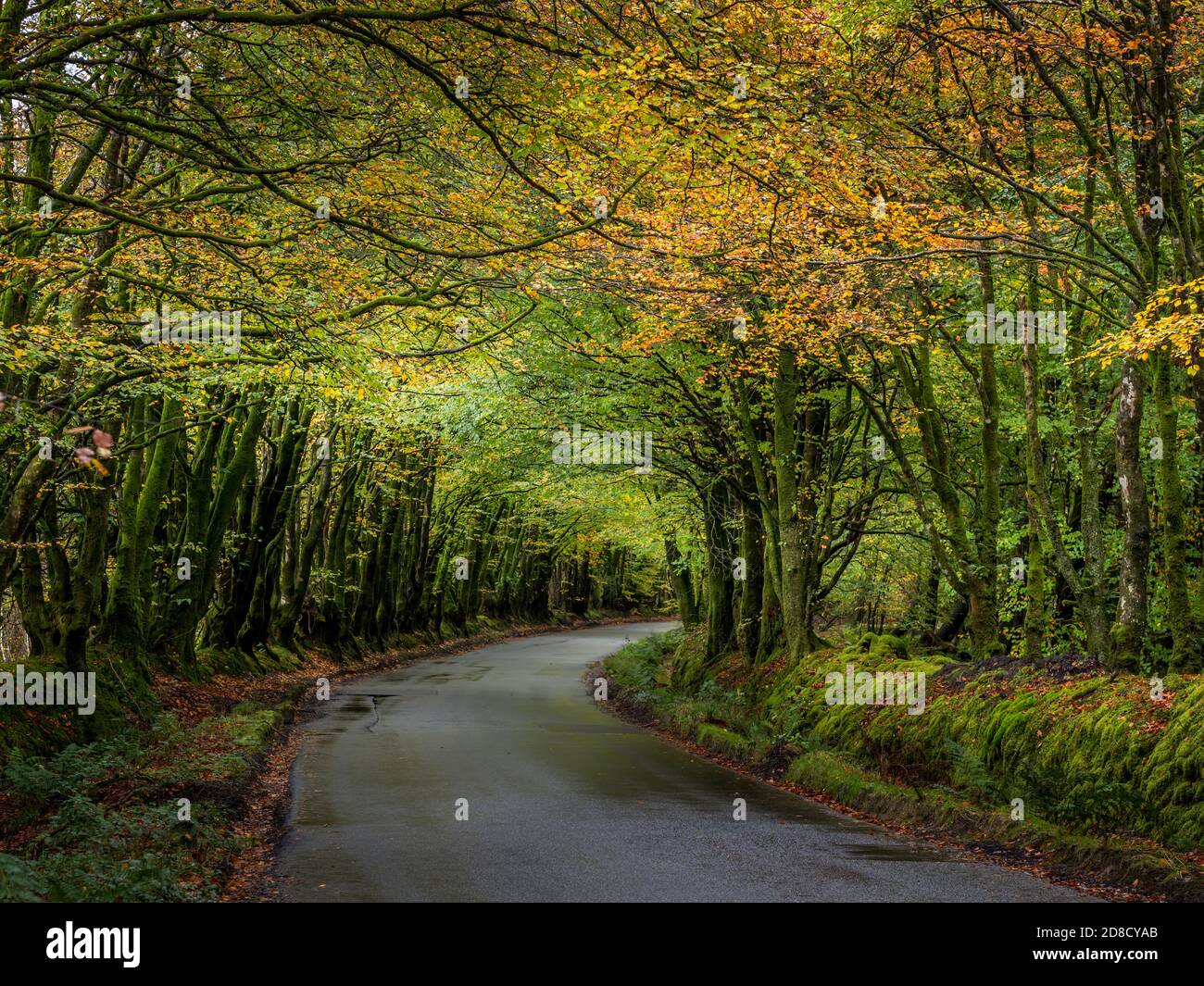 Rain england countryside hi-res stock photography and images - Alamy