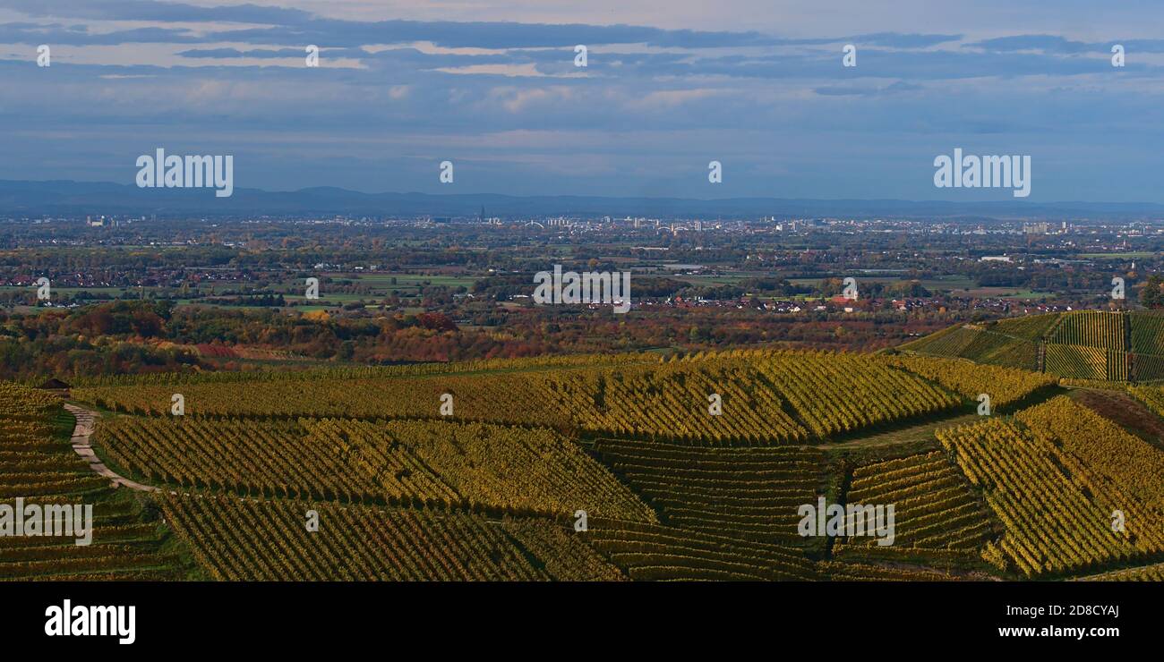 Vosges mountain range hi-res stock photography and images - Alamy