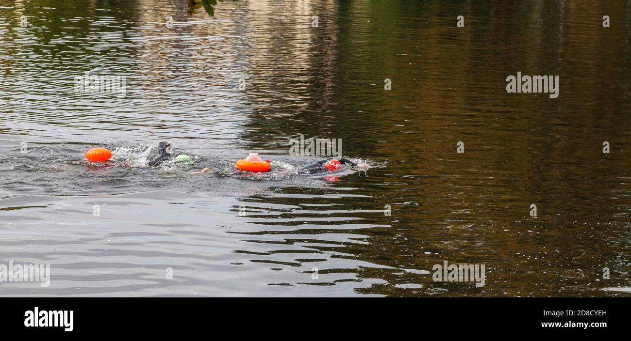 Two people wild swimming in the River Thames at Teddington Lock,England ...