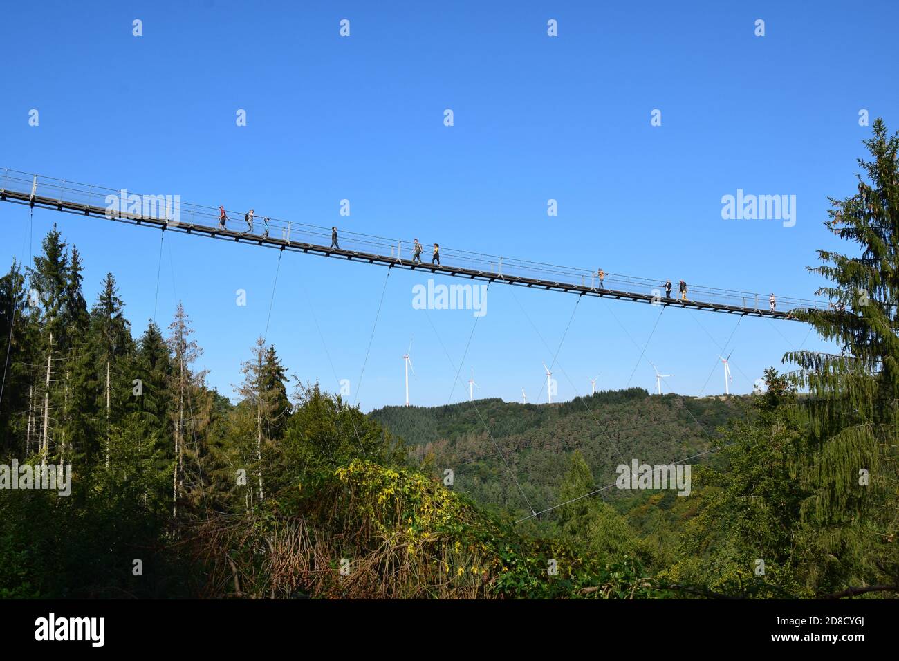 Geierlay - Suspension Bridge in western Germany Stock Photo - Alamy