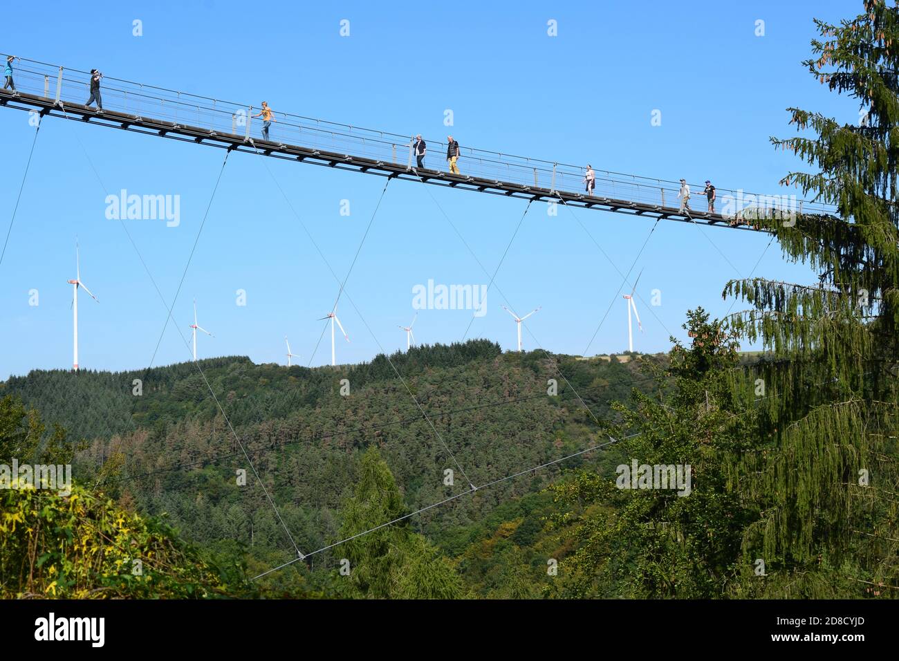 Geierlay - Suspension Bridge in western Germany Stock Photo - Alamy