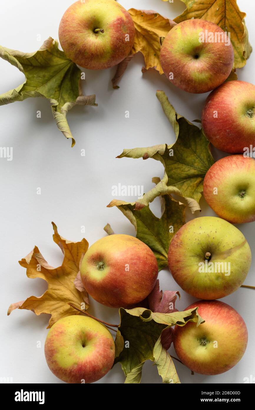 Scenario scenario hi-res stock photography and images - Alamy