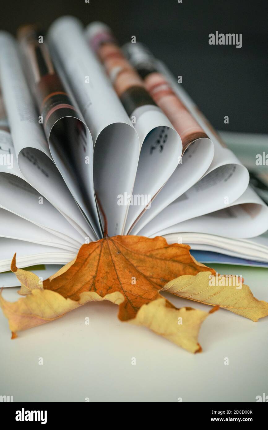 Dry leaf and a magazine with folded pages Stock Photo - Alamy