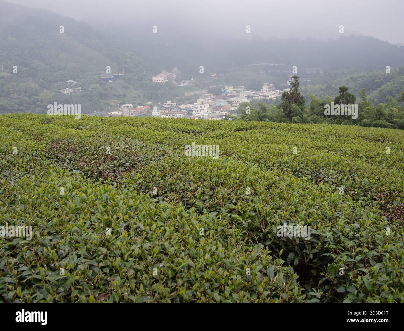 Meishan township hi-res stock photography and images - Alamy