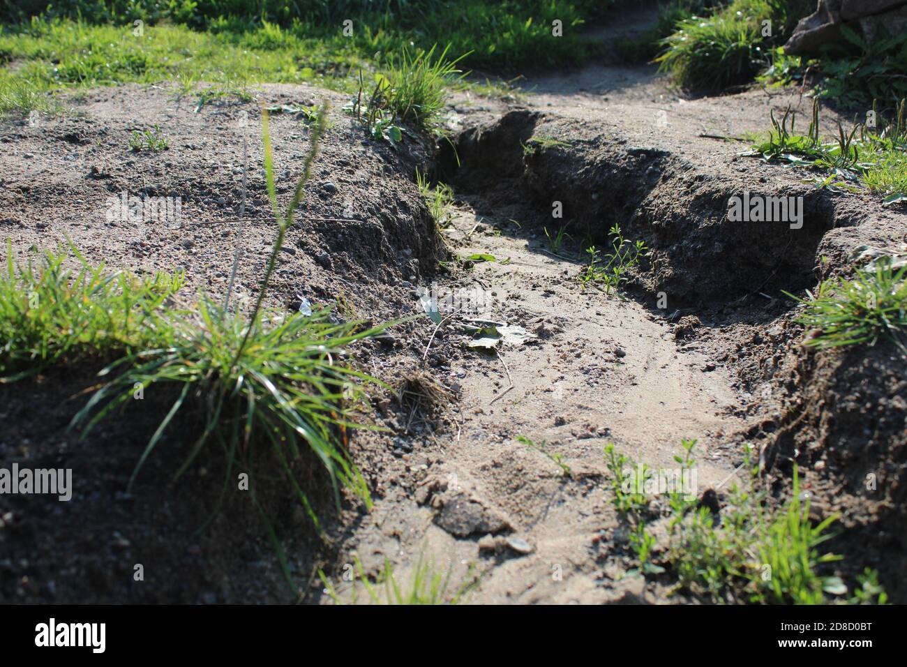Green soil hi-res stock photography and images - Alamy
