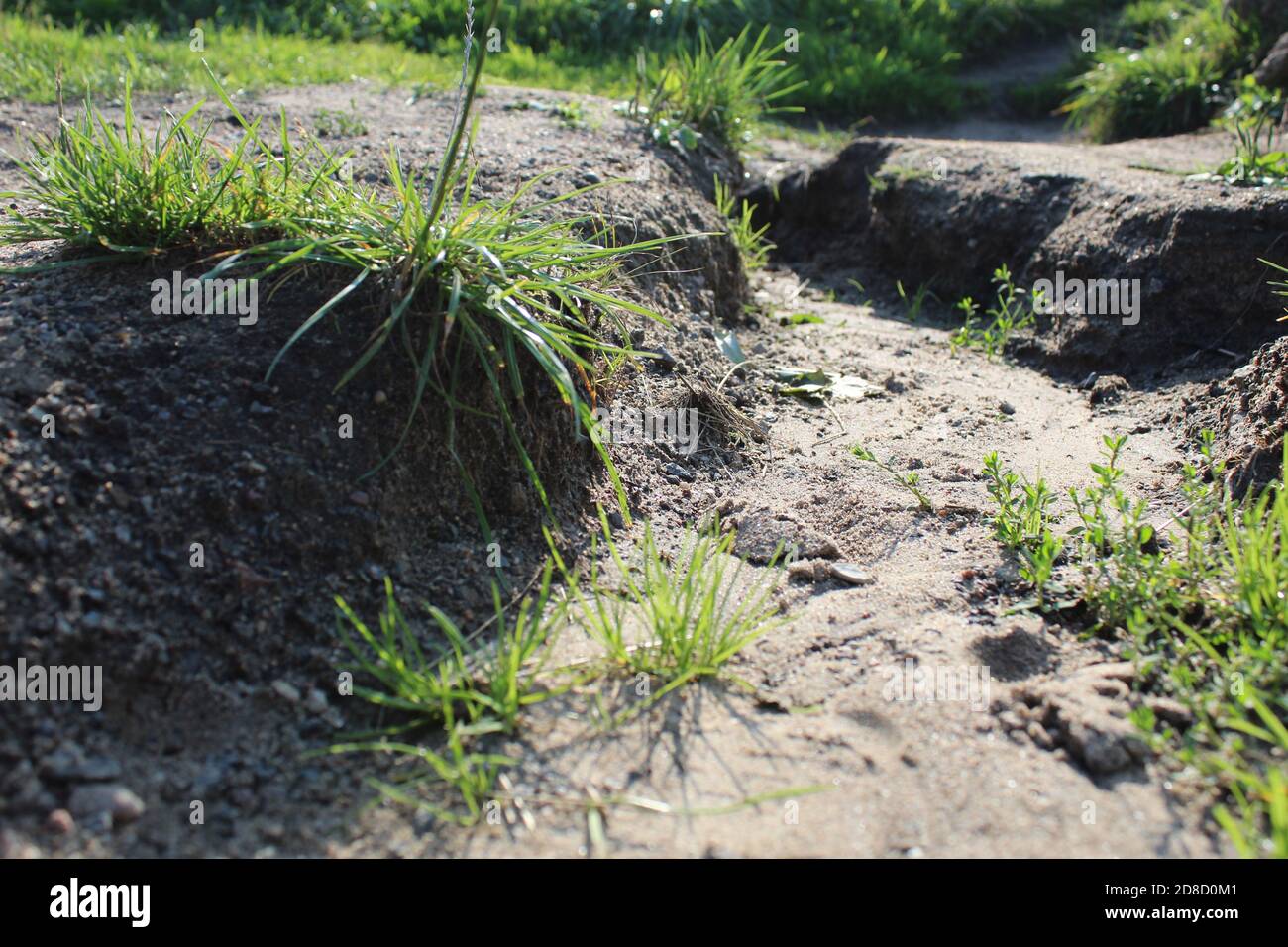 Green soil hi-res stock photography and images - Alamy