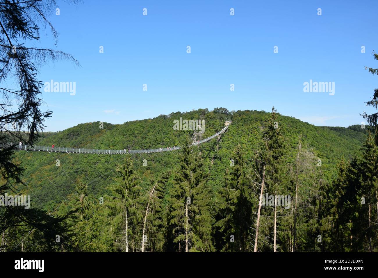 Geierlay - Suspension Bridge in western Germany Stock Photo - Alamy