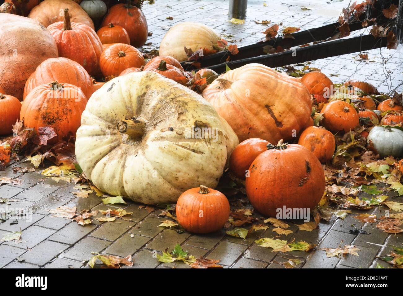 Autumn decoration on the street in Bristol city centre Stock Photo - Alamy