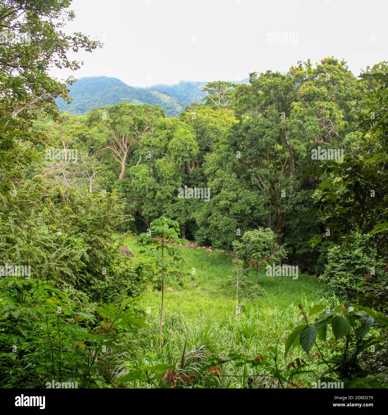 How beautiful nature is. So many bright vibrant colors that generate ...