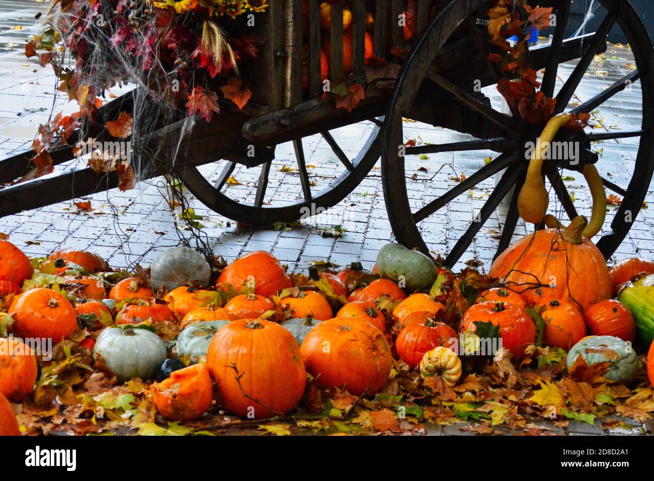 Autumn decoration on the street in Bristol city centre Stock Photo - Alamy
