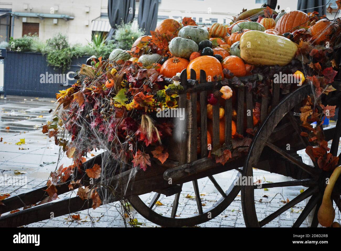Autumn decoration on the street in Bristol city centre Stock Photo - Alamy