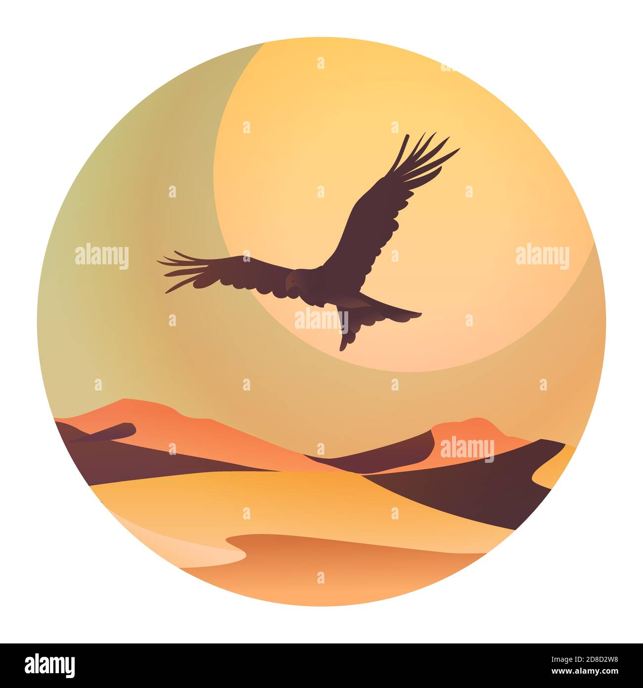 A large bird of prey flies over the dunes. The sun behind the bird the ...